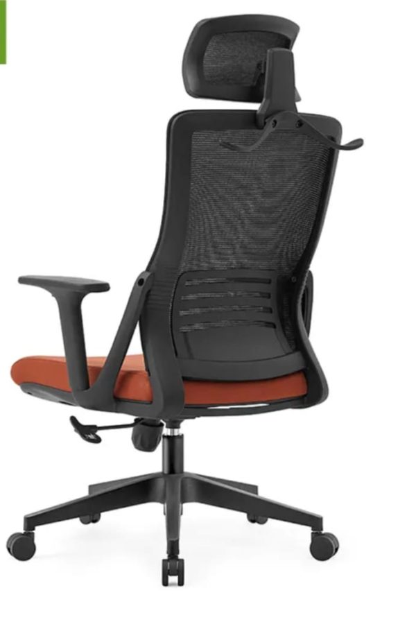 Echo Orthopedic Office Chair - eako